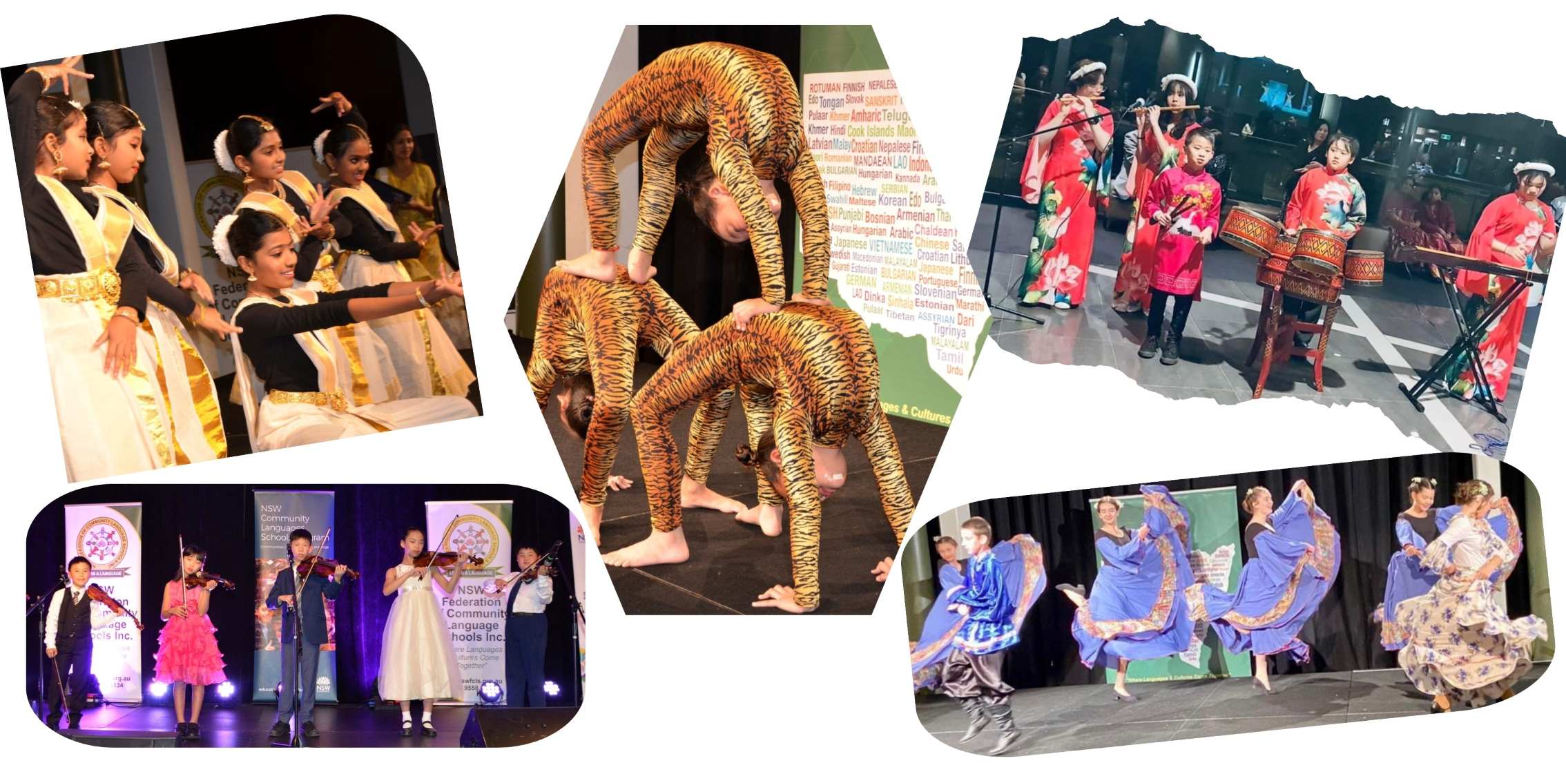 The NSW Federation of Community Language Schools Inc